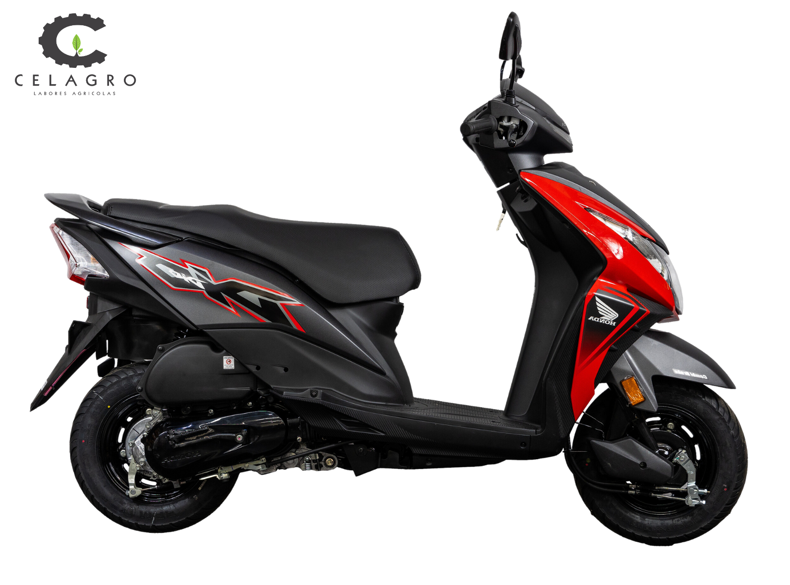 DIO 2024 – CELAGRO