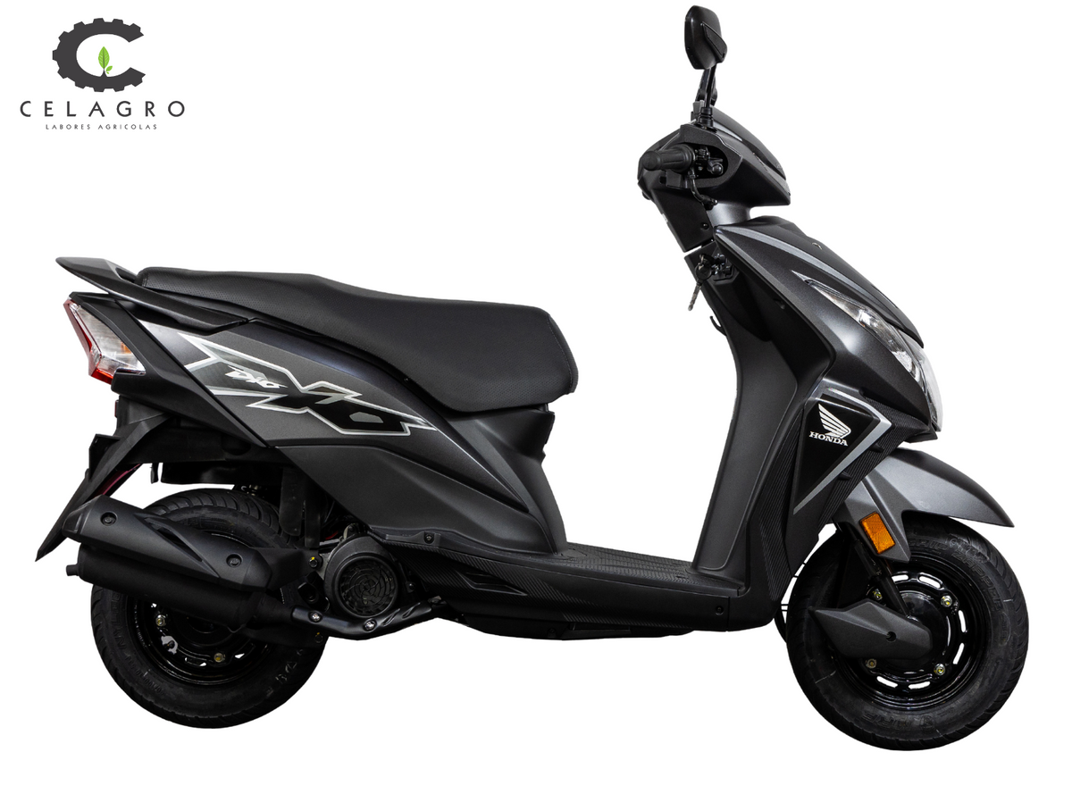 DIO 2024 – CELAGRO