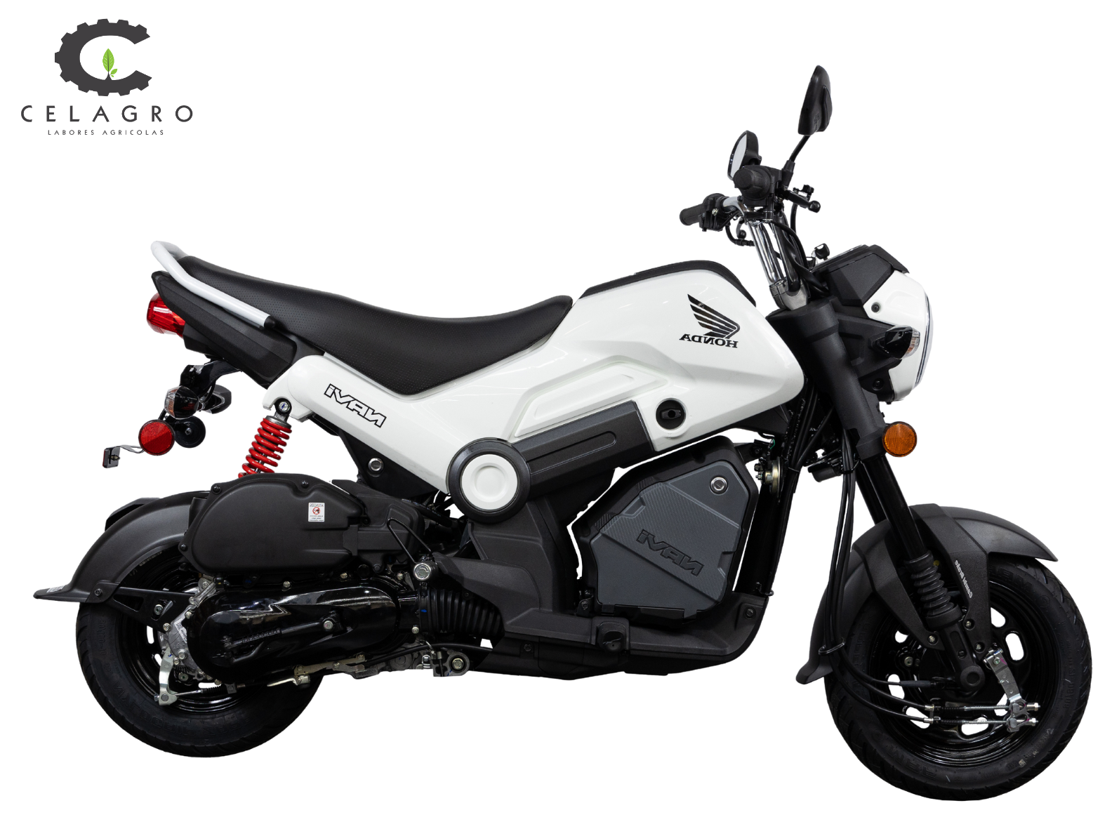 NAVI 2024 – CELAGRO