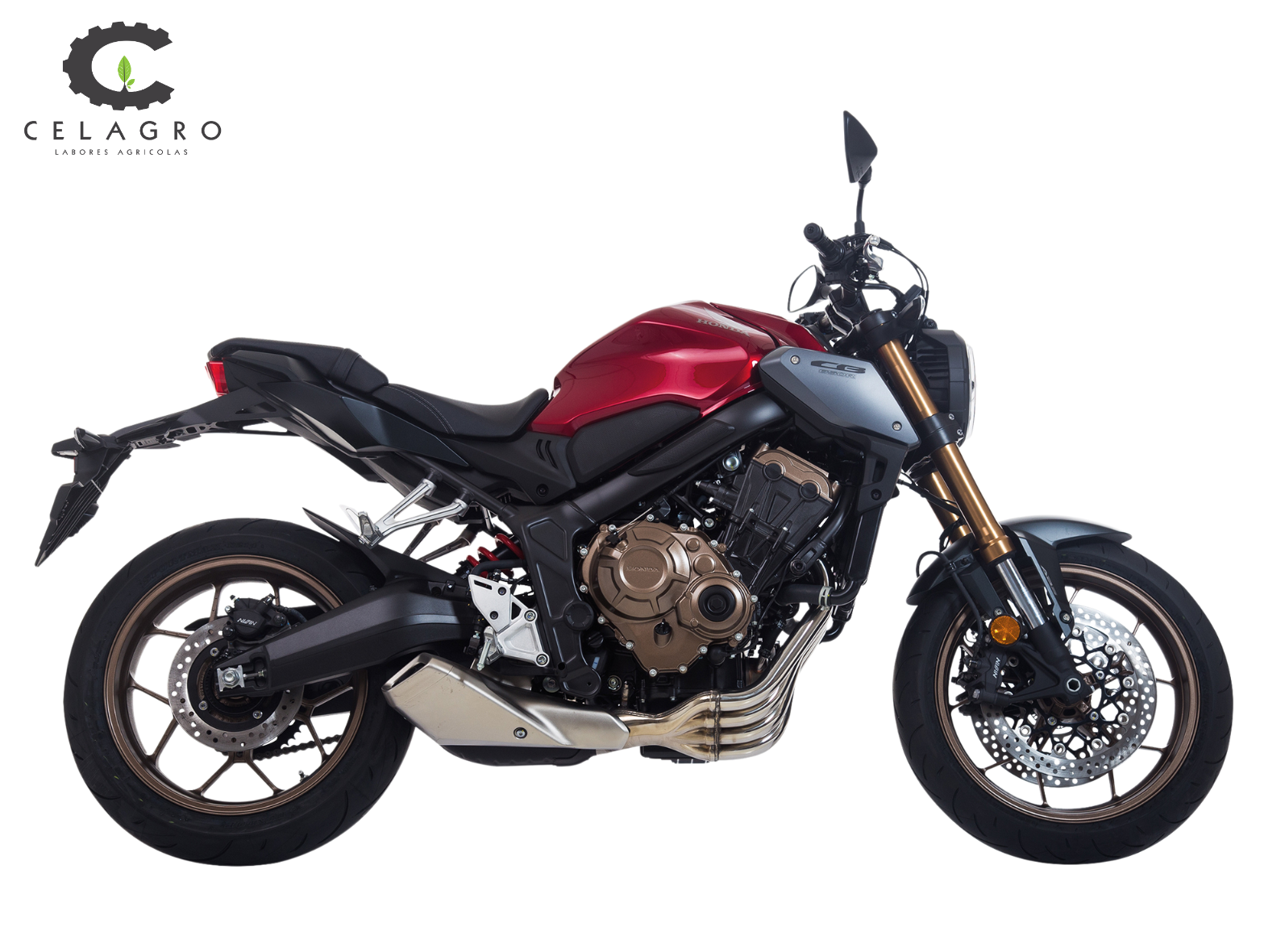 Moto Honda CB 650R – CELAGRO