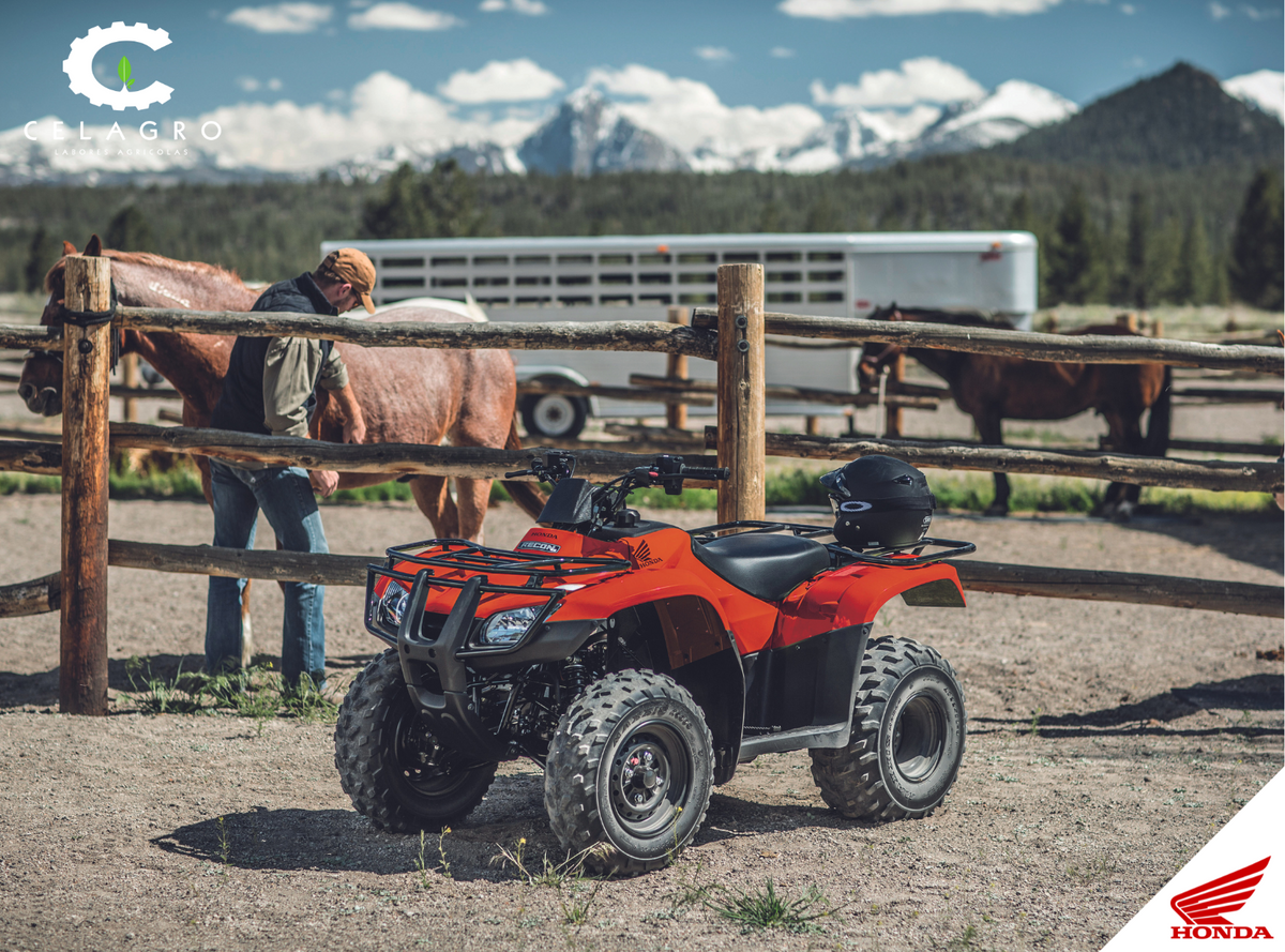 MOTO TRX 250 TM – CELAGRO
